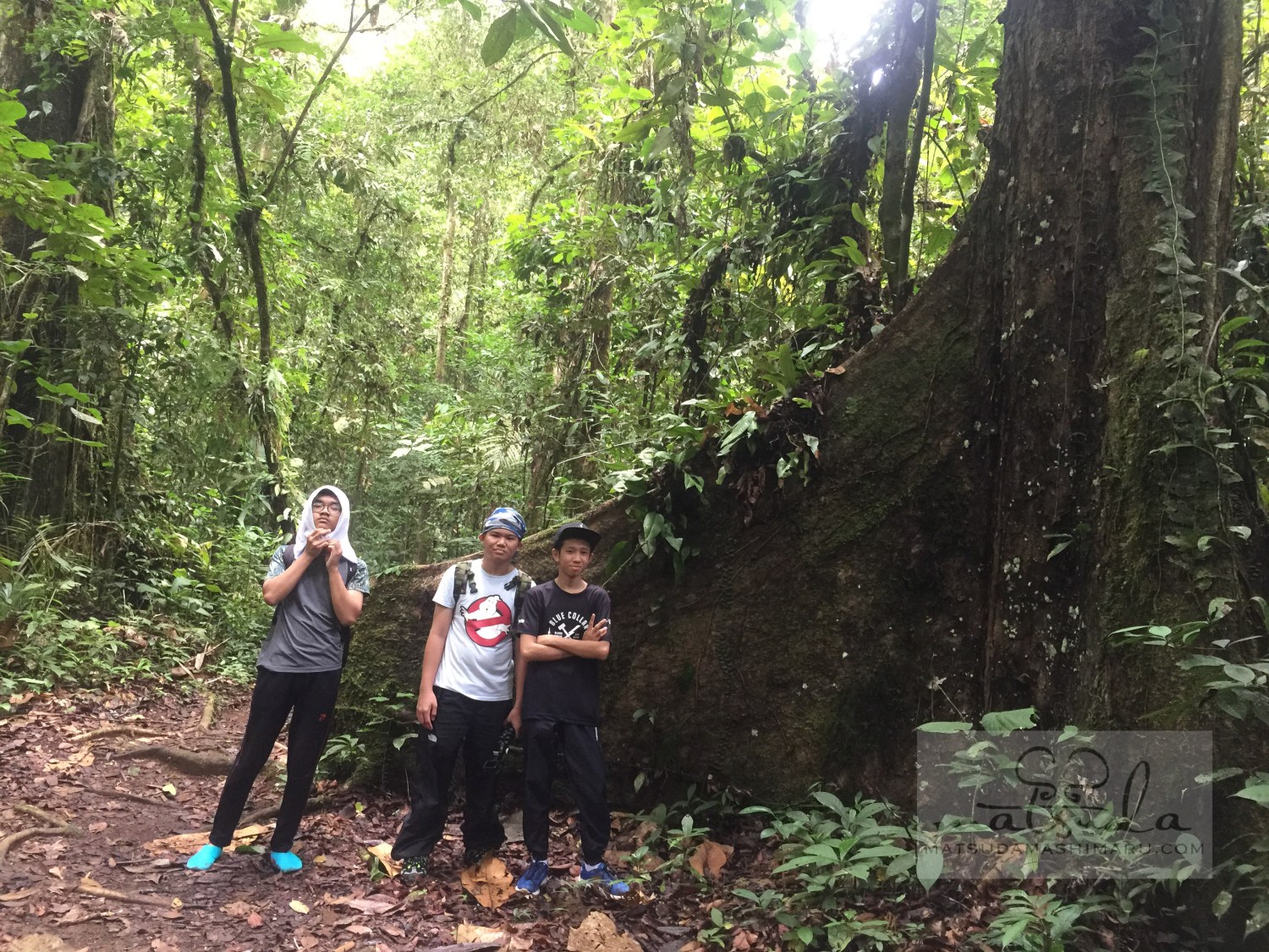 Hiking Bukit Gelas Waterfall, Tawau – MATSUDA MASHIMARU