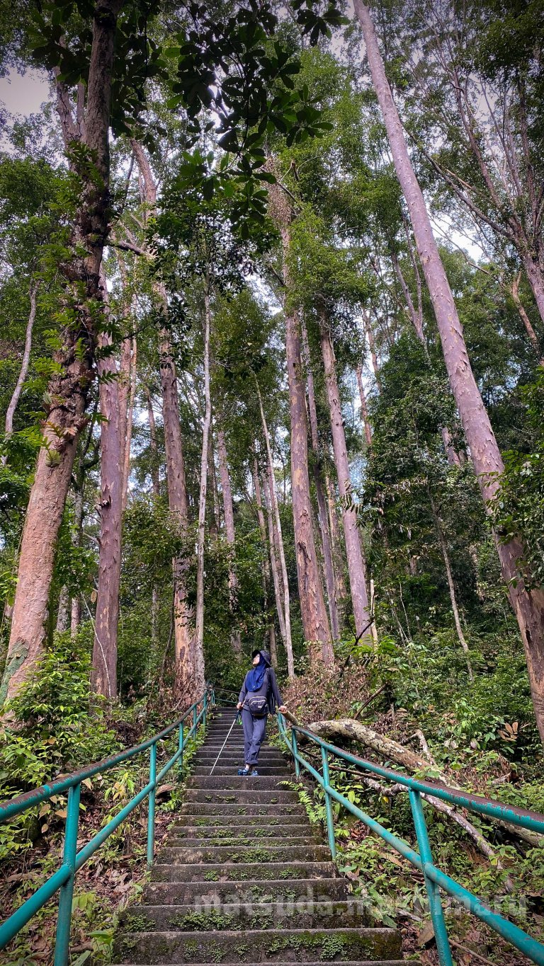 Hiking Kanching Waterfalls – MATSUDA MASHIMARU