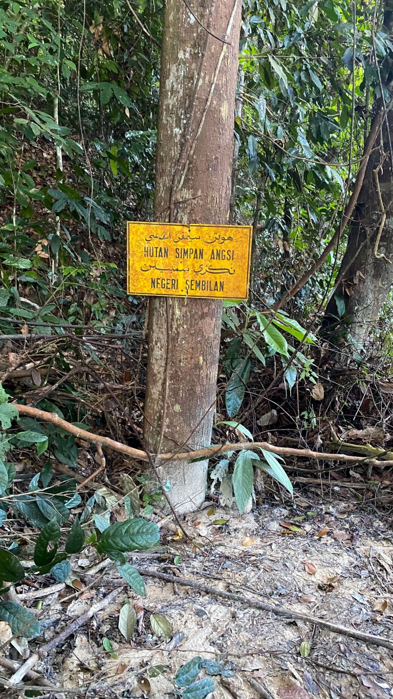 Hiking Gunung Angsi – MATSUDA MASHIMARU