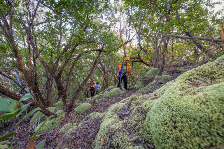 Hiking Gunung Bubu, Gerik – MATSUDA MASHIMARU